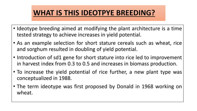 PHYSIOLOGICAL APPROACHES FOR IDEOTYPE BREEDING IN RICE.pptx