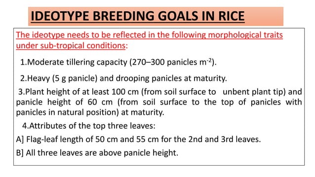 PHYSIOLOGICAL APPROACHES FOR IDEOTYPE BREEDING IN RICE.pptx