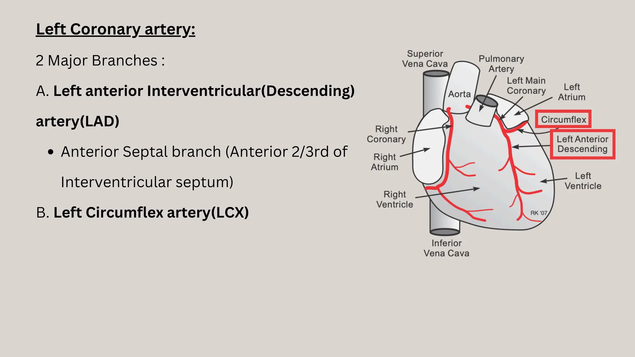Physiological Aspect of Coronary and Pulmonary Circulation.pdf