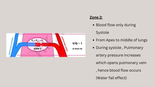 Physiological Aspect of Coronary and Pulmonary Circulation.pdf