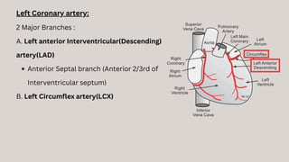 Physiological Aspect of Coronary and Pulmonary Circulation.pdf