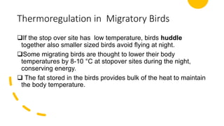 Physiological aspects of bird migration. | PPT