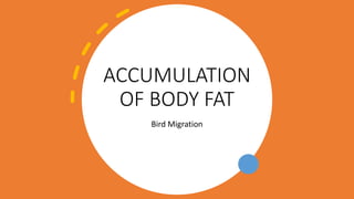Physiological aspects of bird migration. | PPT