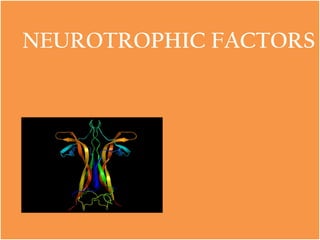 Physiological aspects of Neurotrophic factors.pptx