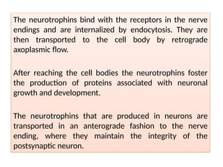 Physiological aspects of Neurotrophic factors.pptx