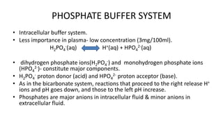 Physiological buffers new | PPTX