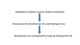 Physiological buffers new | PPTX