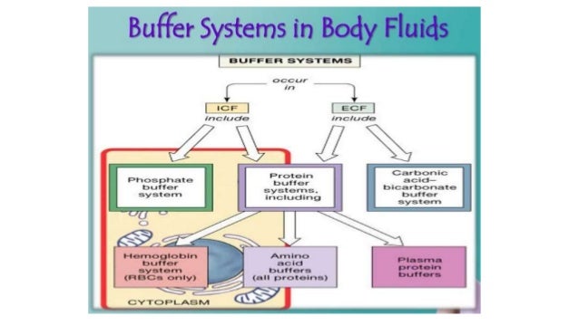 Physiological buffers new