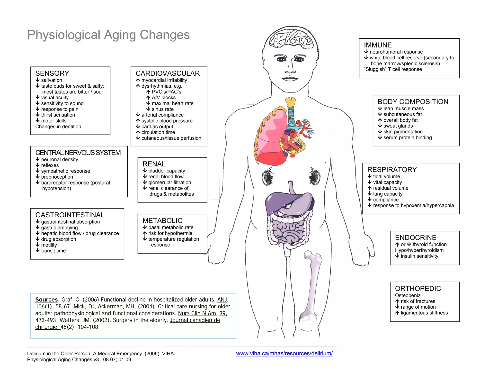 Physiological changes 09 | PDF