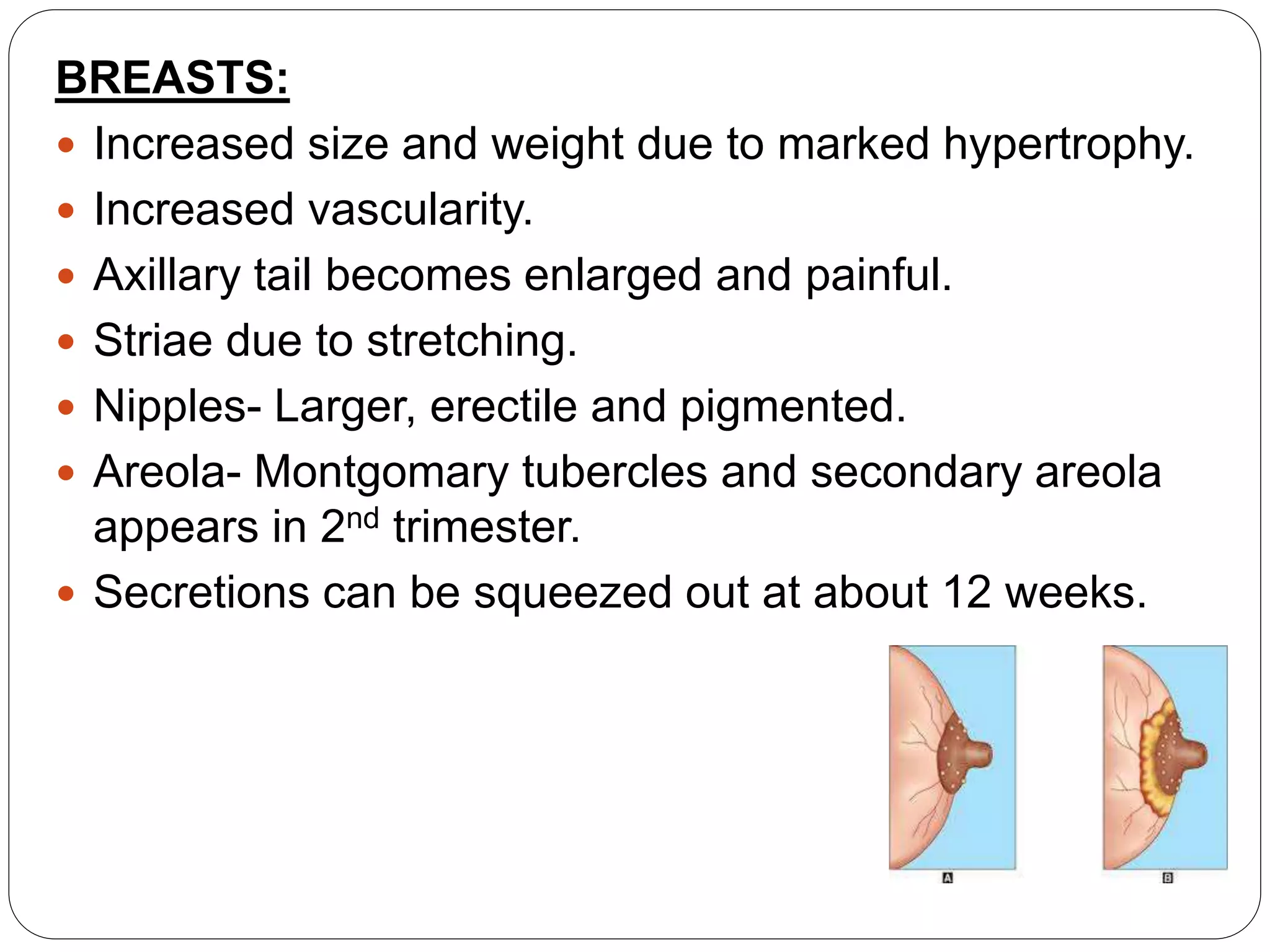physiological changes during pregancy.pptx