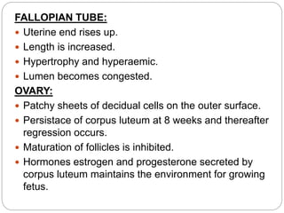 physiological changes during pregancy.pptx
