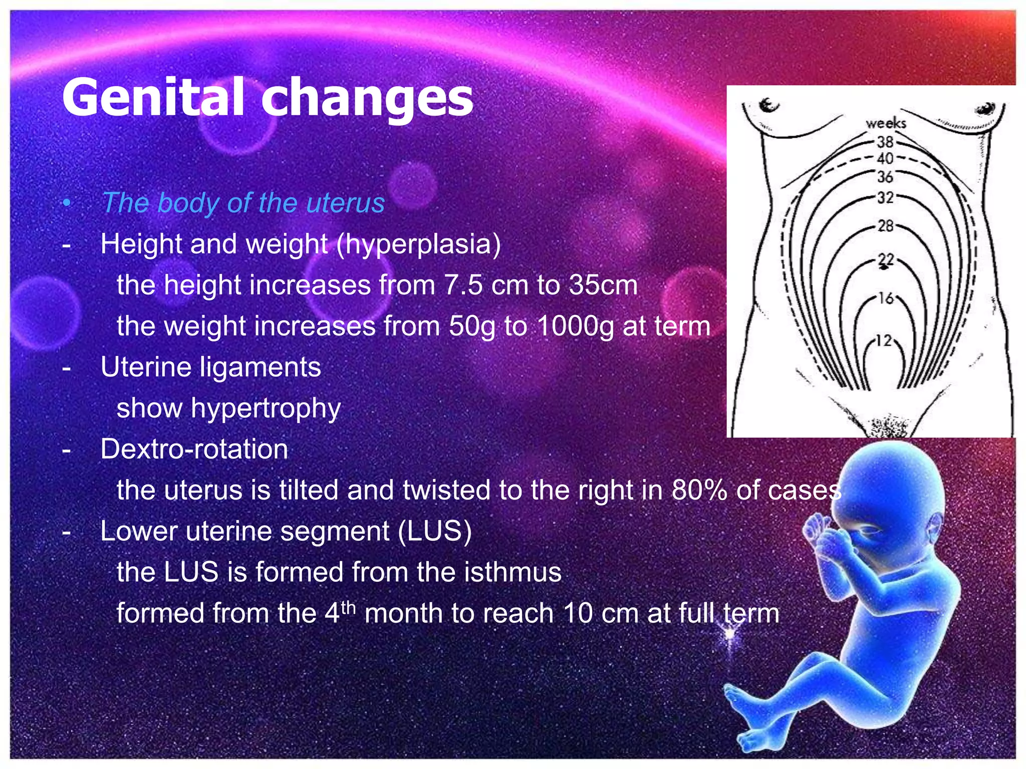 Physiological changes during pregnancy | PPTX