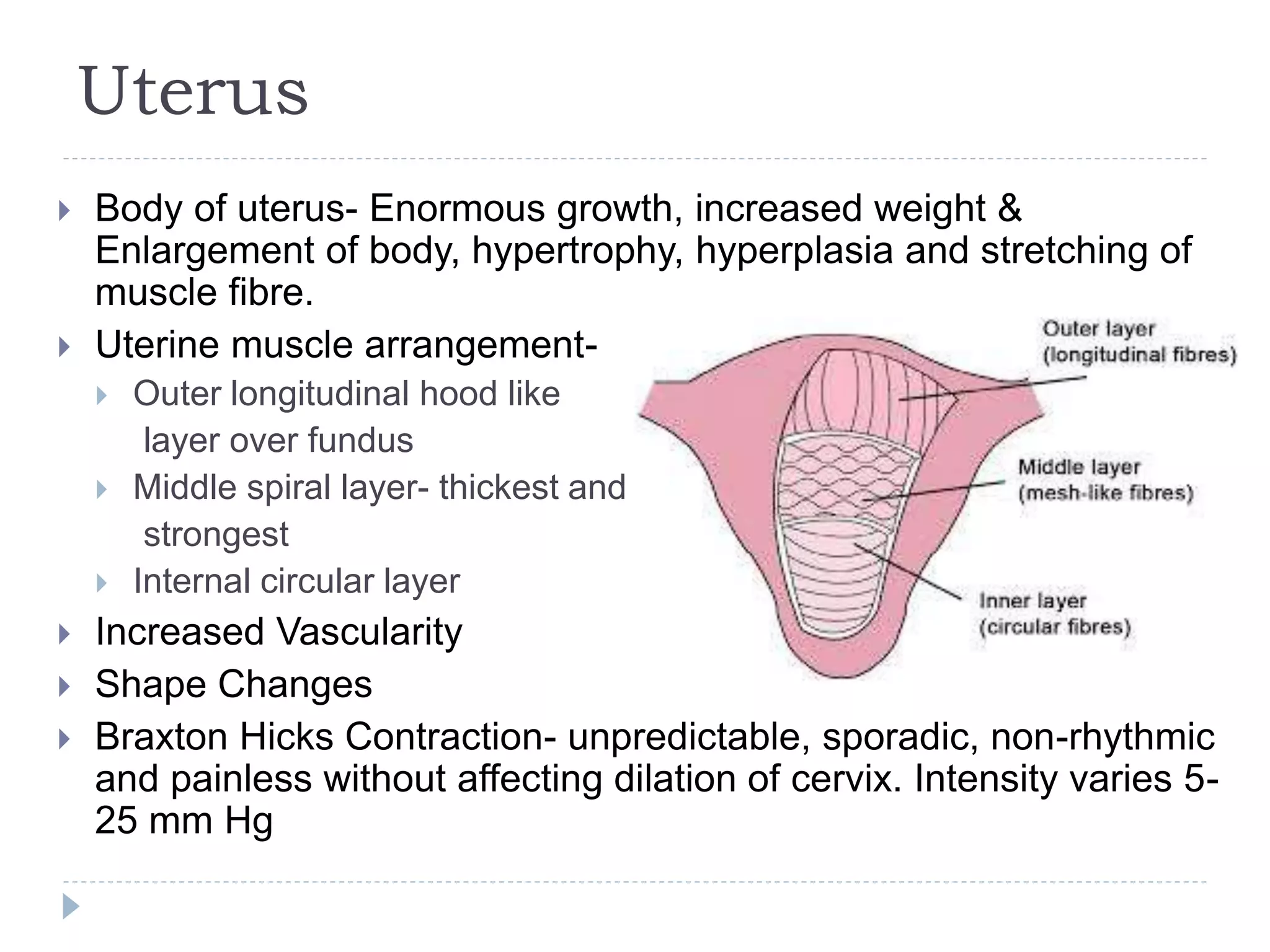 Physiological changes during pregnancy | PPTX