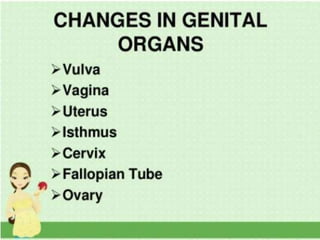physiological changes during pregnancy.pptx