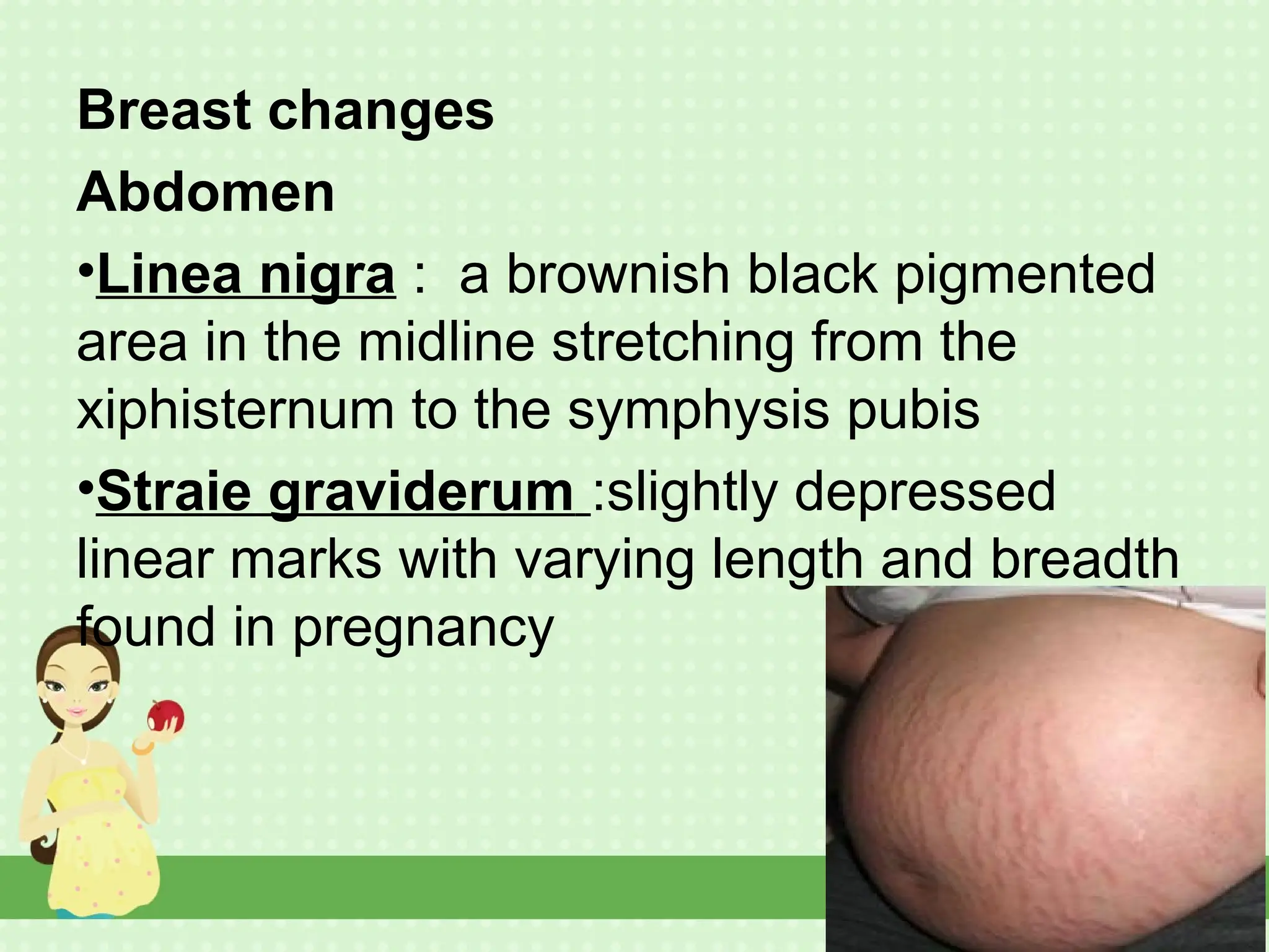 Physiological changes during pregnancy.ppt