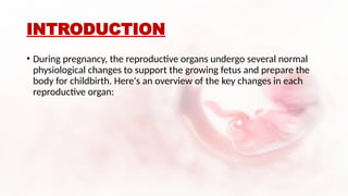 NORMAL PHYSIOLOGICAL CHANGES DURING PREGNANCY.pptx