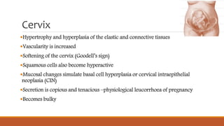 Physiological changes during pregnancy | PPTX