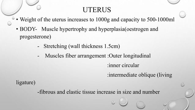 Physiological changes during pregnancy in the reproductive system.pptx