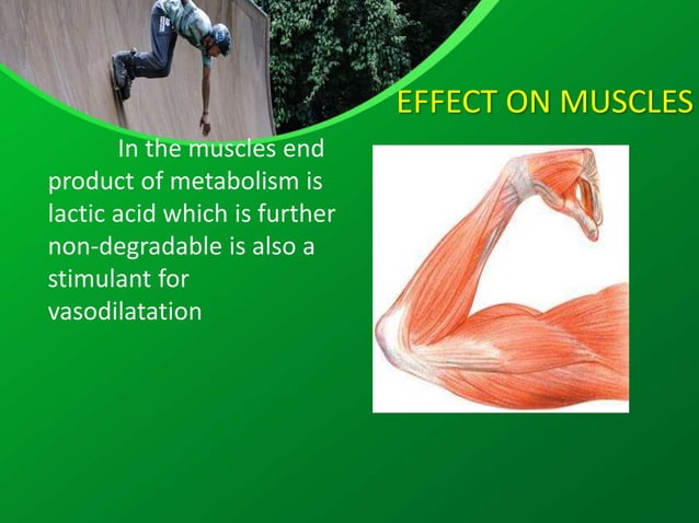 Physiological changes during sports and exercise | PPTX | Lung and ...