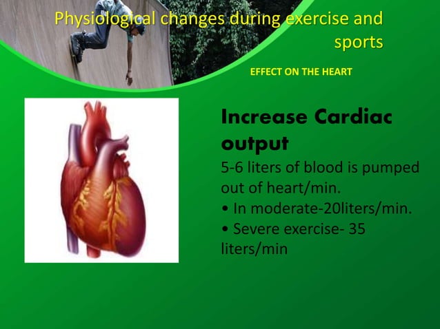 Physiological changes during sports and exercise | PPTX | Lung and ...