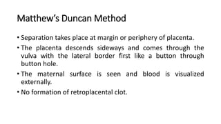 Physiological changes during third stage of labor | PPTX | Pregnancy ...