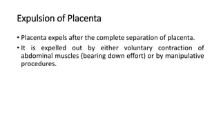 Physiological changes during third stage of labor | PPTX | Pregnancy ...