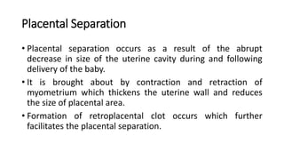 Physiological changes during third stage of labor | PPTX