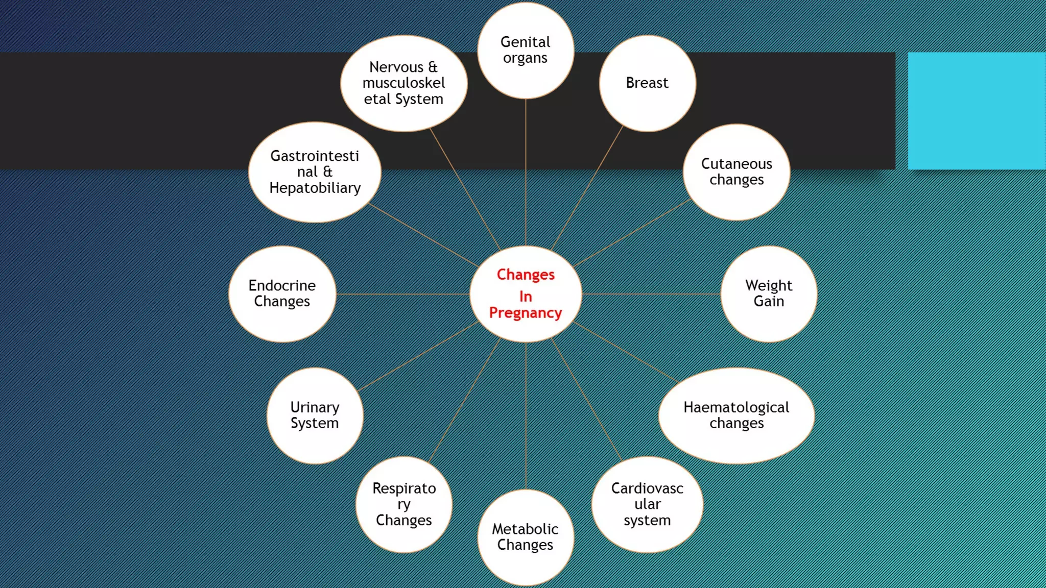 Physiological changes in pregnancy | PPT