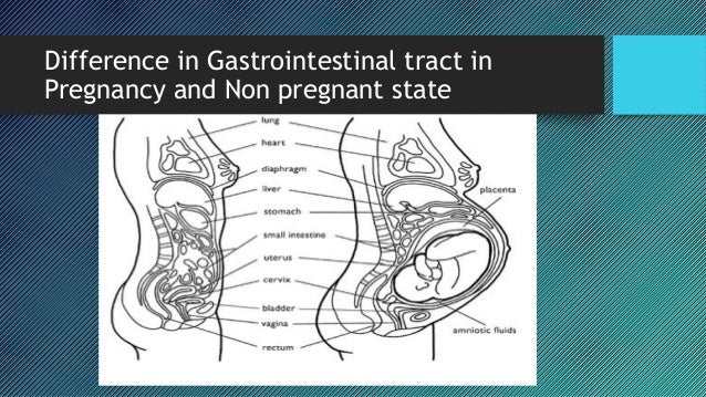 Physiological changes in pregnancy