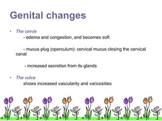 Physiological changes in pregnancy | PPTX