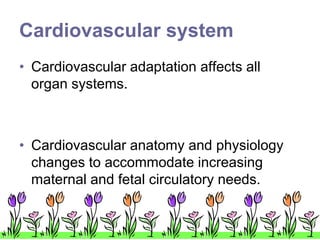 Physiological changes in pregnancy | PPTX