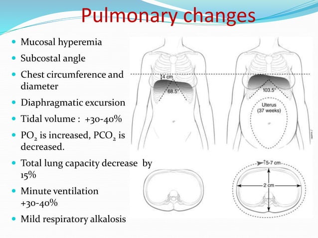 Physiological changes in pregnancy | PPTX | Thyroid Disorders ...