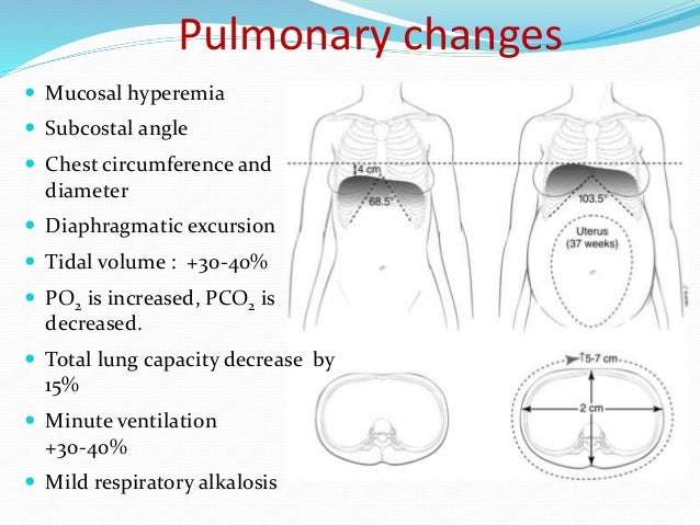 Physiological changes in pregnancy