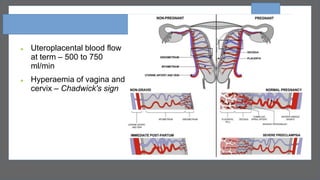 Physiological changes in pregnancy.ppt