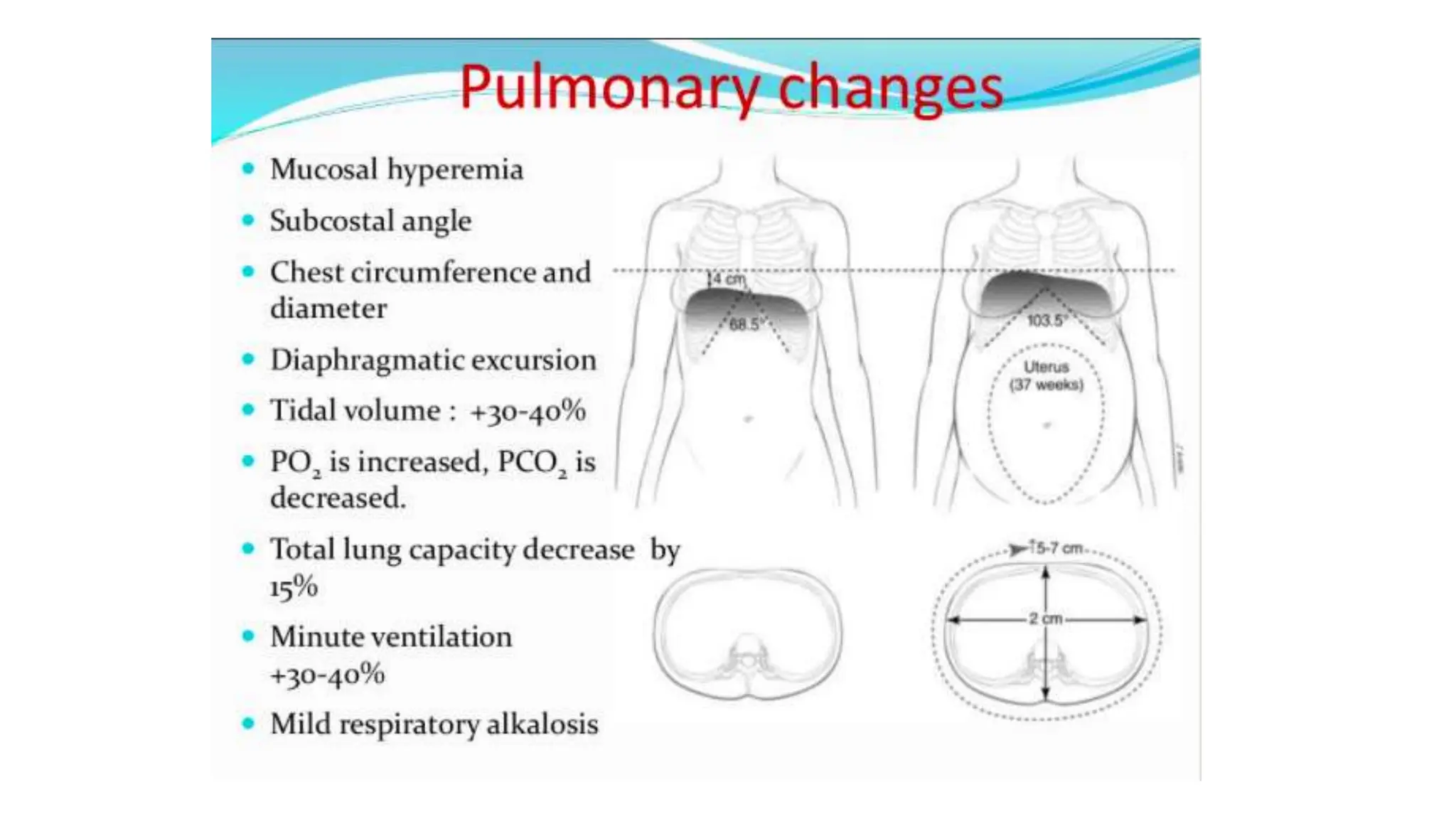 PHYSIOLOGICAL change of pregnancy obstetrics | PPT