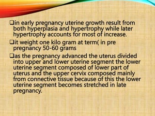 Physiological chFFFFFanges in pregnancy.ppt