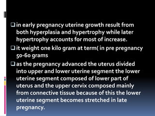 Physiological changes in pregnancy (2).ppt