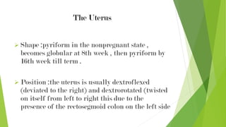 Physiological Changes of Pregnancy.by pdf | PDF