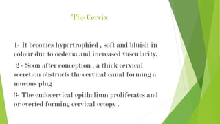 Physiological Changes of Pregnancy.by pdf | PDF