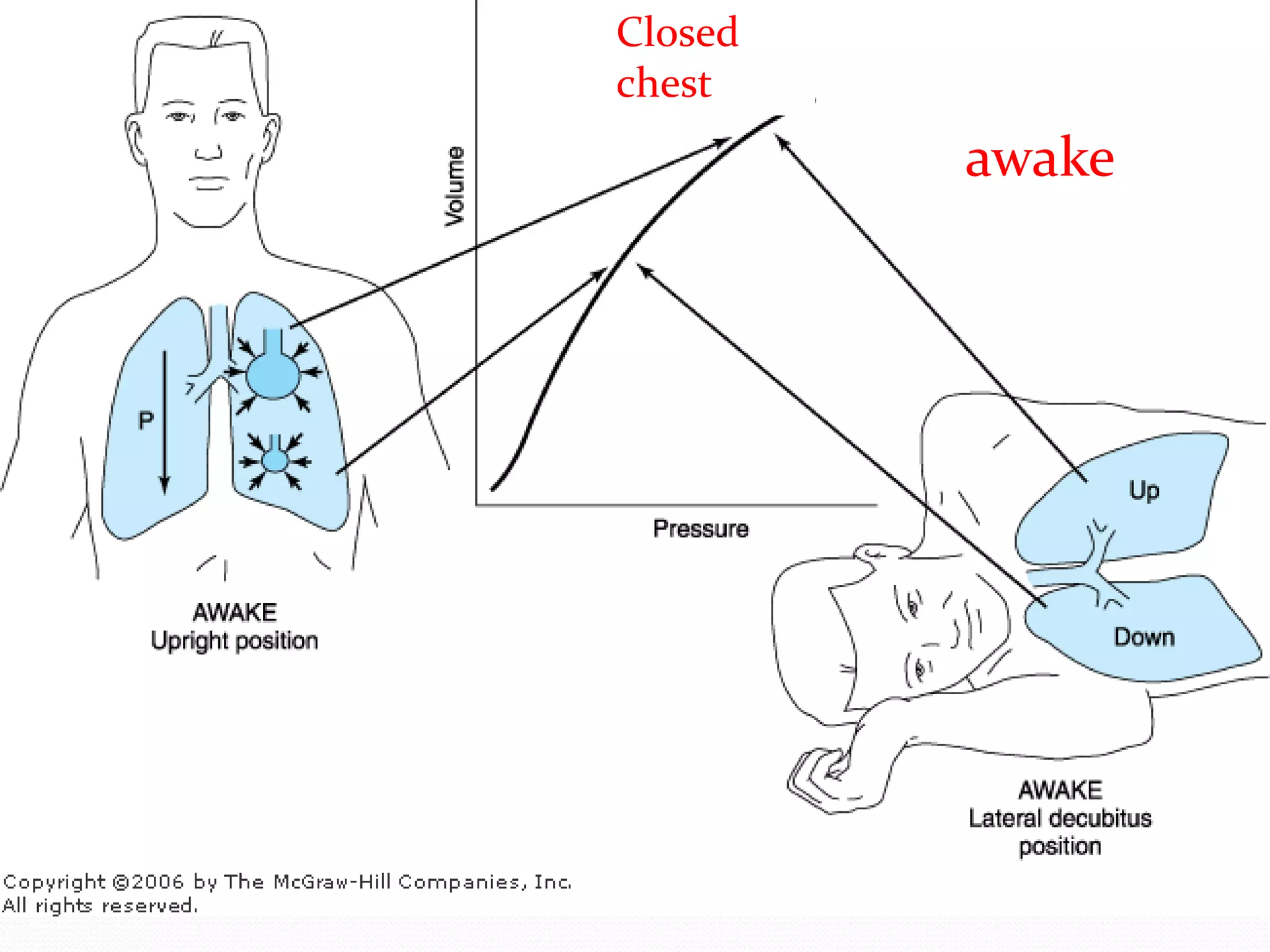 Physiological considerations and patient positioning during anesthesia ...