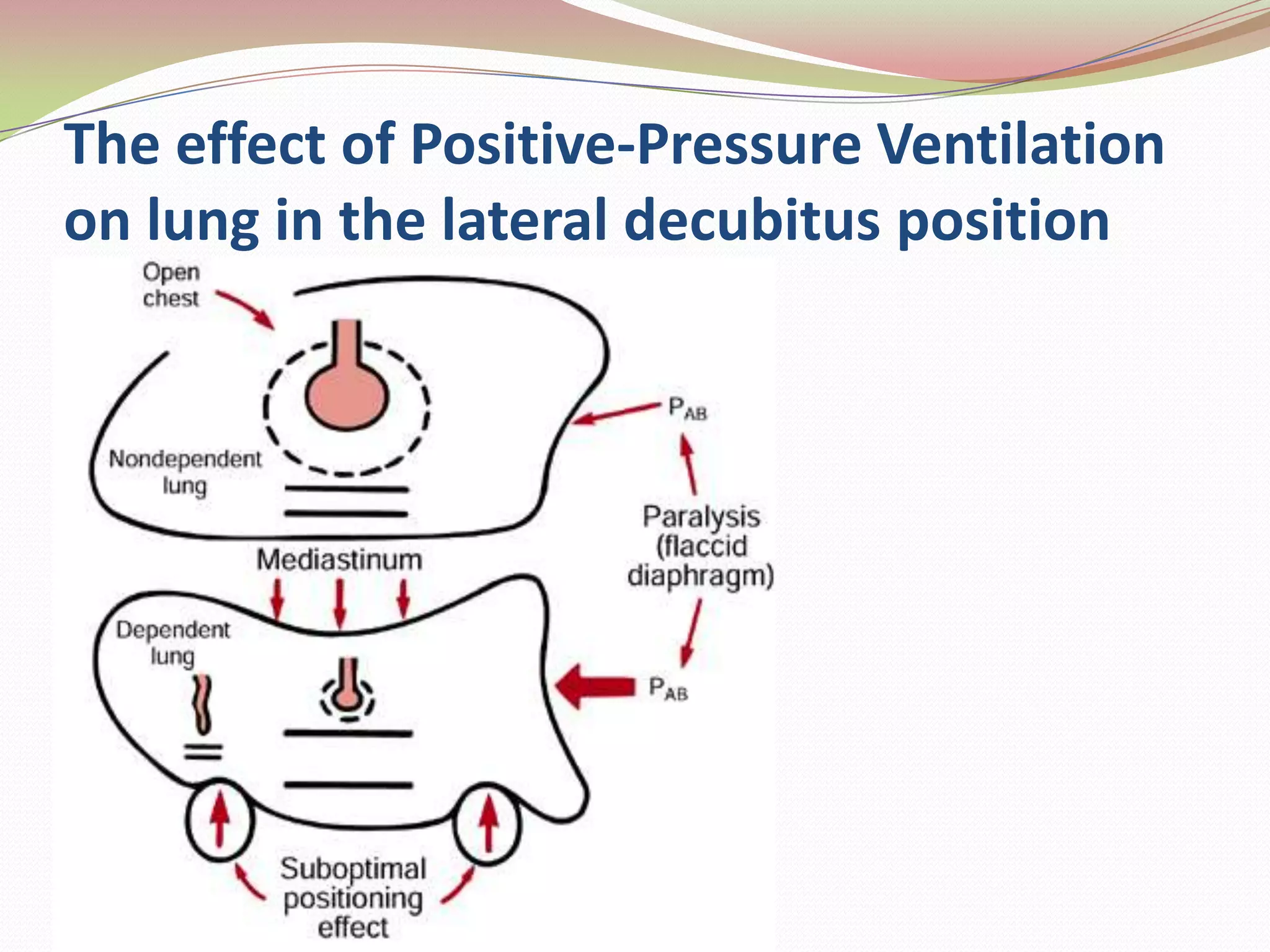 Physiological considerations and patient positioning during anesthesia ...