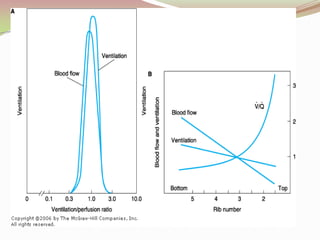 Physiological considerations and patient positioning during anesthesia ...