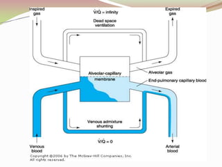 Physiological considerations and patient positioning during anesthesia ...