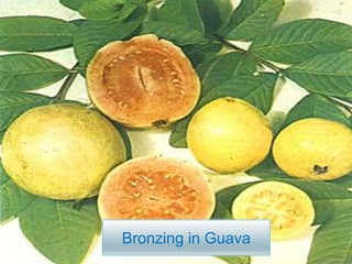 Physiological disorder | PPTX