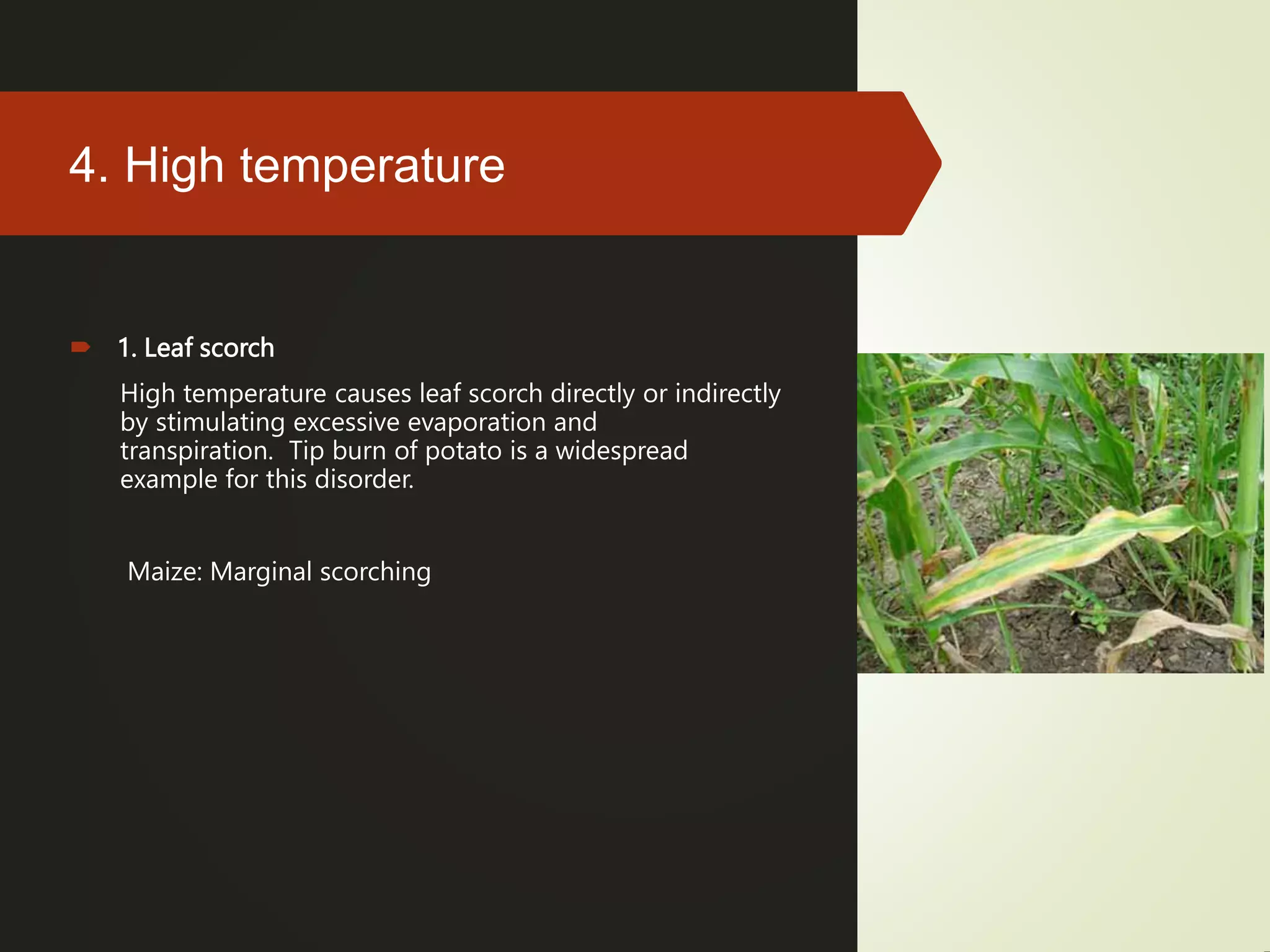 physiological disorder.pptx