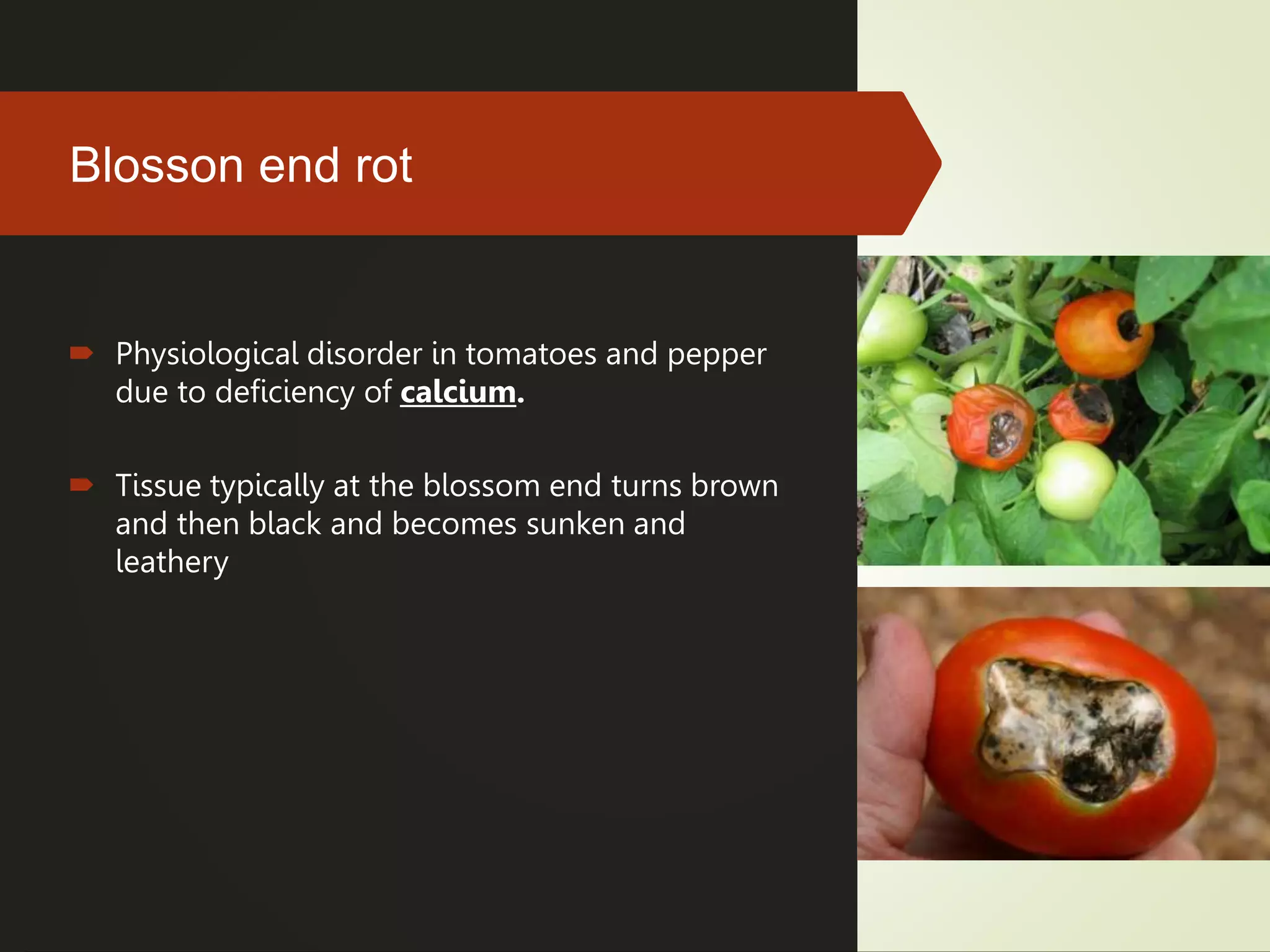 physiological disorder.pptx