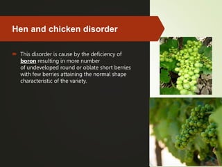 physiological disorder.pptx