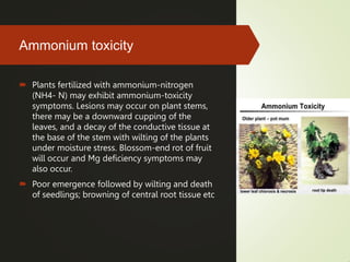 physiological disorder.pptx
