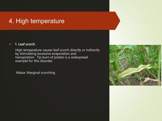 physiological disorder.pptx