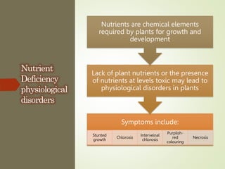 physiological disorder.pptx